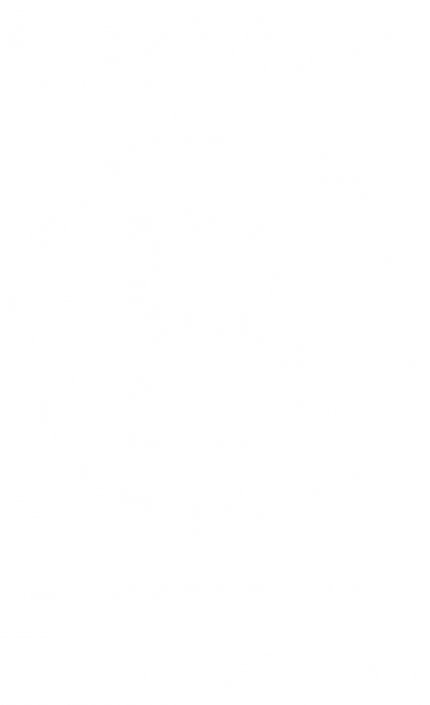 What is verification?